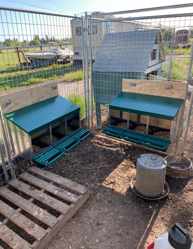 Top 10 Chicken Nesting Boxes of 2026: My Expert Picks