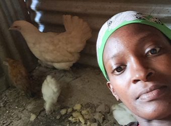 Raising Backyard Chickens for Beginners